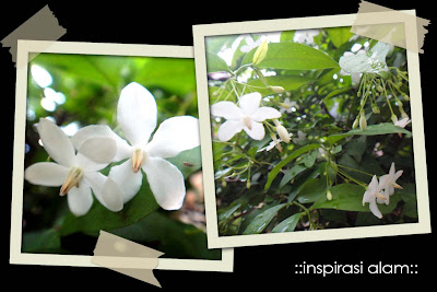 inspirasi alam: Jeliti:: Relevan & Bergaya...