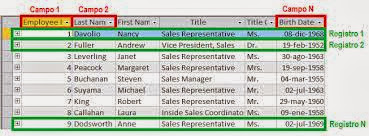 MICROSOFT ACCESS: ¿Que es un registro?