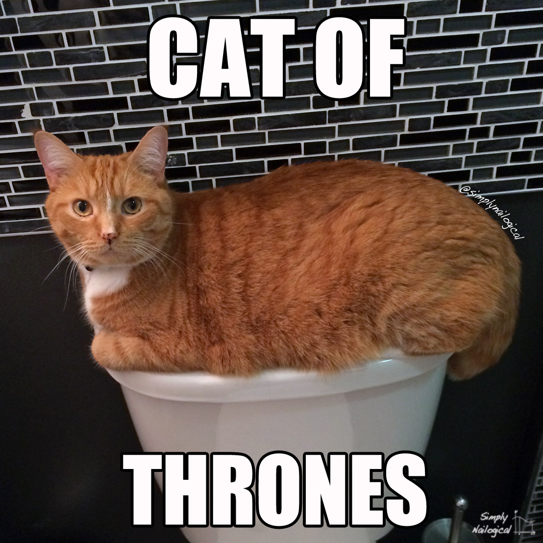 Simply Nailogical: Party Mix