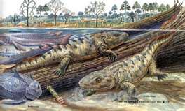 Dispatches from the Frontier: The first land vertebrates