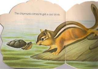 The Secret World of Hazel Catkins: The Turtle Book A Golden Shape Book