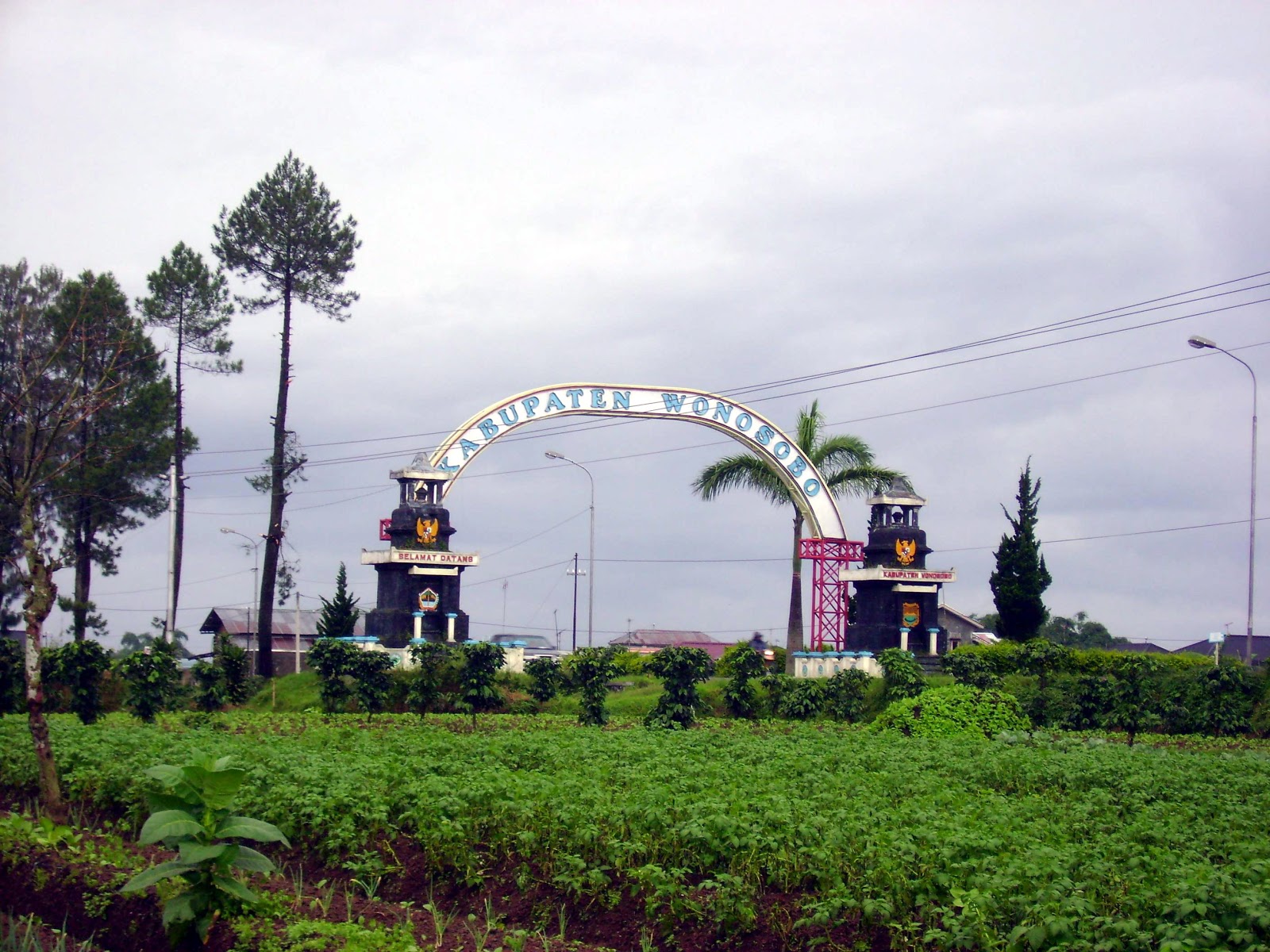 Kegiatan: Kabupaten Wonosobo