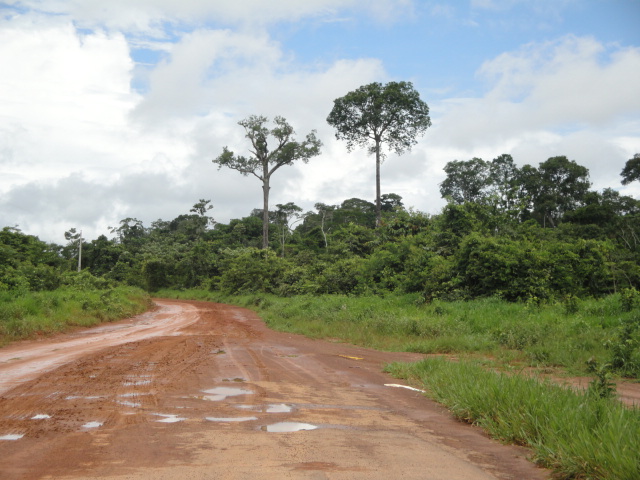 Viagens e Expedições: Boca do Acre - AM