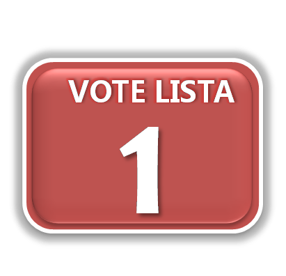 FUDES 2011 VOTE LISTA 1