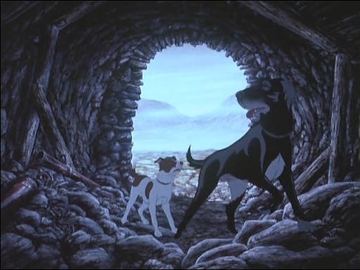 Psychostasy of the Film: The Plague Dogs (1982)