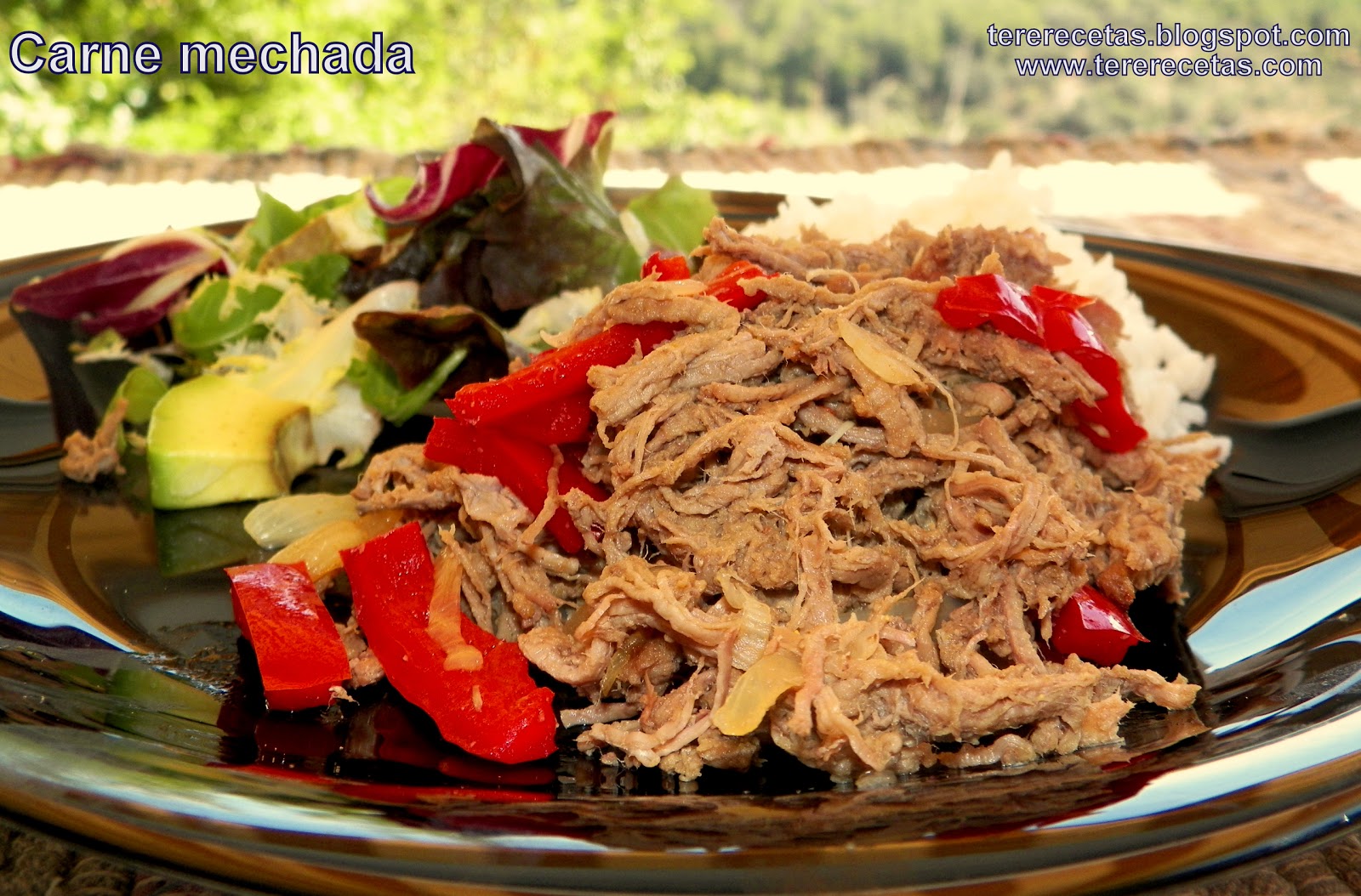 Carne mechada, recetas latinoamericanas - Blog Las recetas de Tere