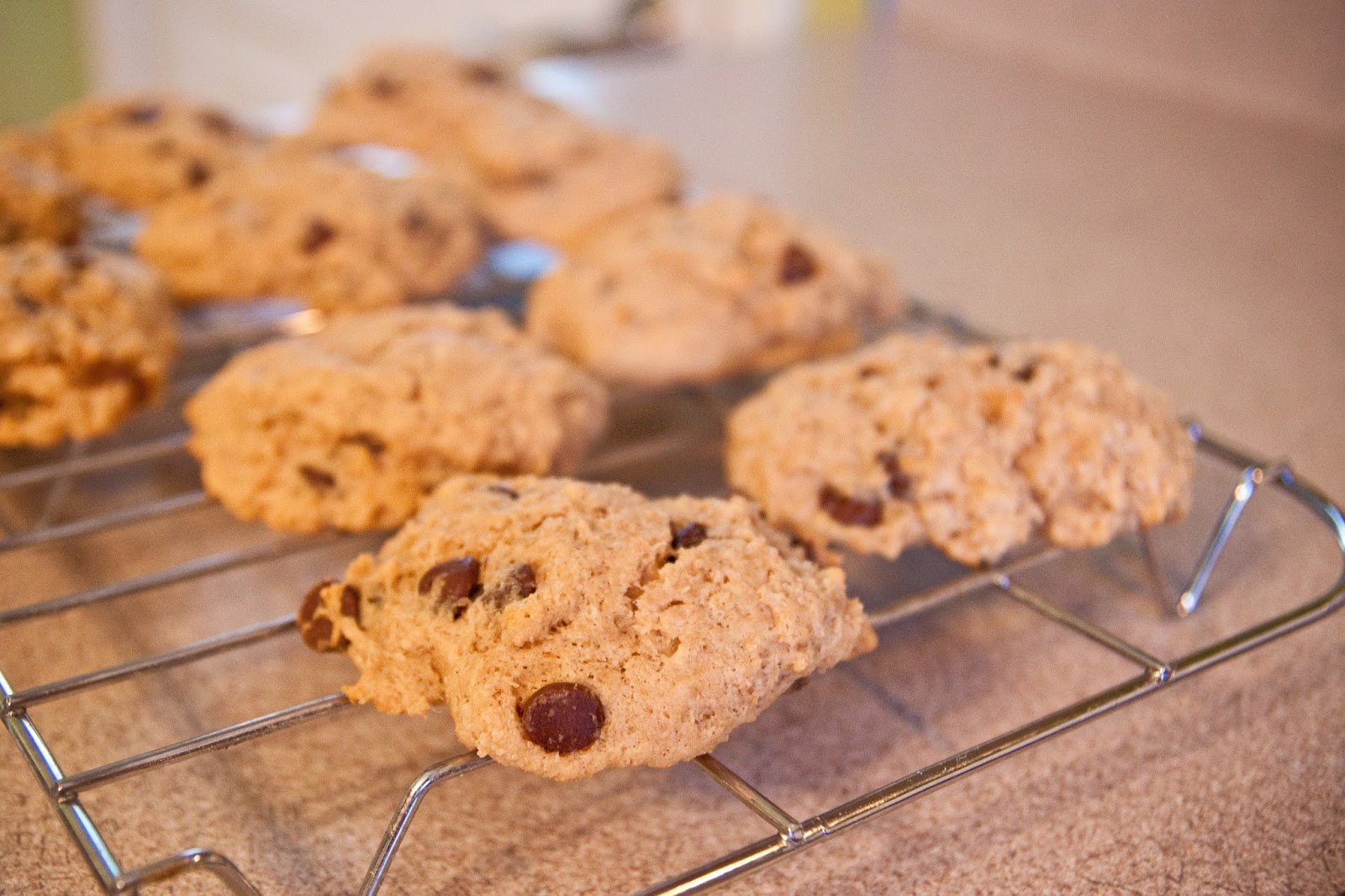 emily's photo blog: Chocolate Chip Mookies