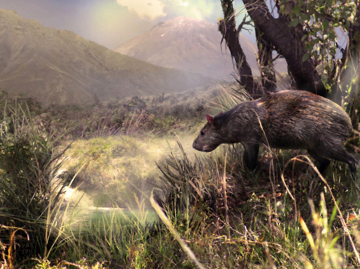 The Magic cafe: Исчезнувшая Южная Америка Велизара Симеоновски. Часть ...