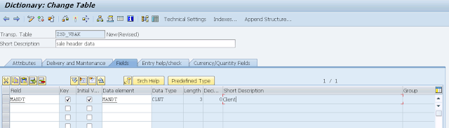 SAP TECH: Creating Transparent Master Table