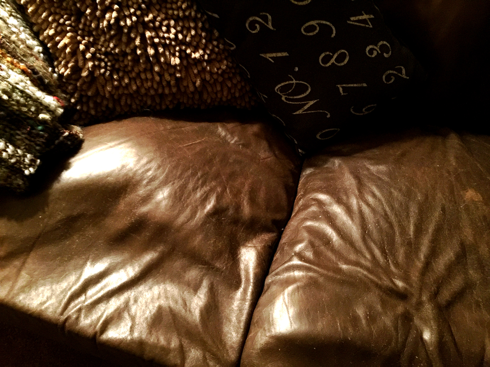 jacki long: Day 2123: The story of the lumpy couch.