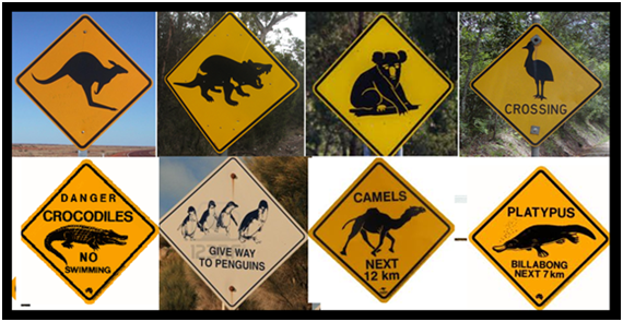 Labor English Zone: The Amazing World of Australian Roadsigns