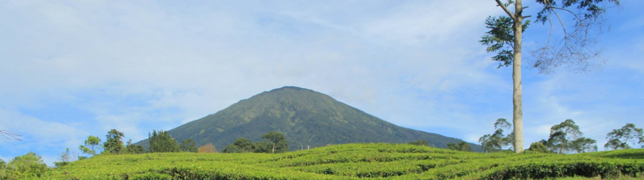 Gunung Dempo, Petualangan dan Rekreasi - GEMAMEDIA.CO