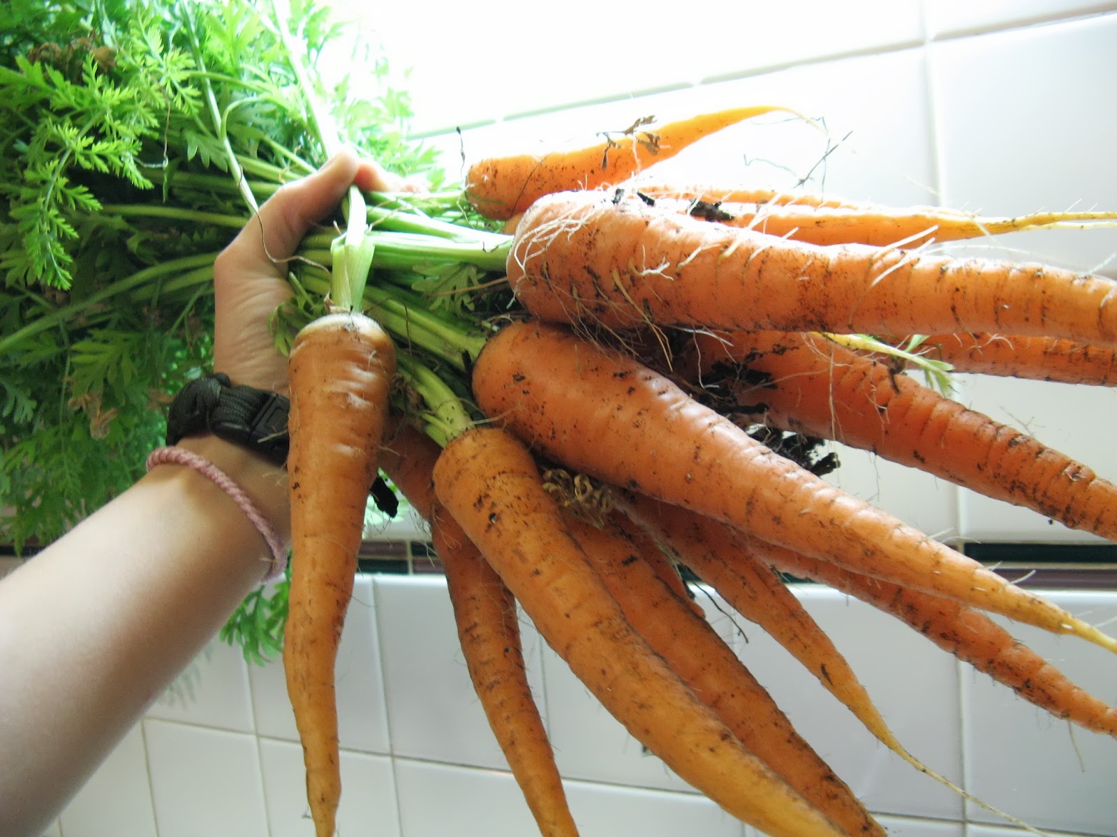 FALIA REVIEWS: Garden Carrots: My Three Favorite Recipes (& Non-GMO Seeds)