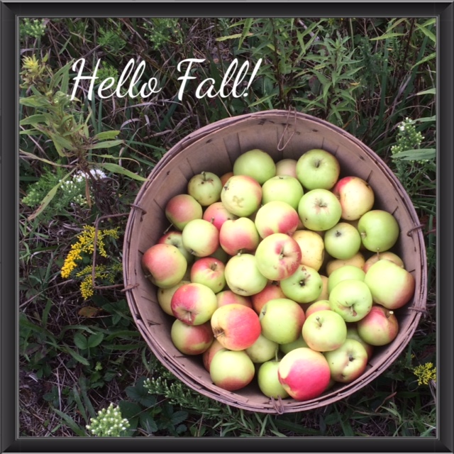 SchnickAcres: Happy Fall Y'all!