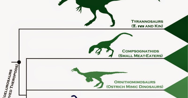 Dinosaur family tree gives fresh insight into rapid rise of birds
