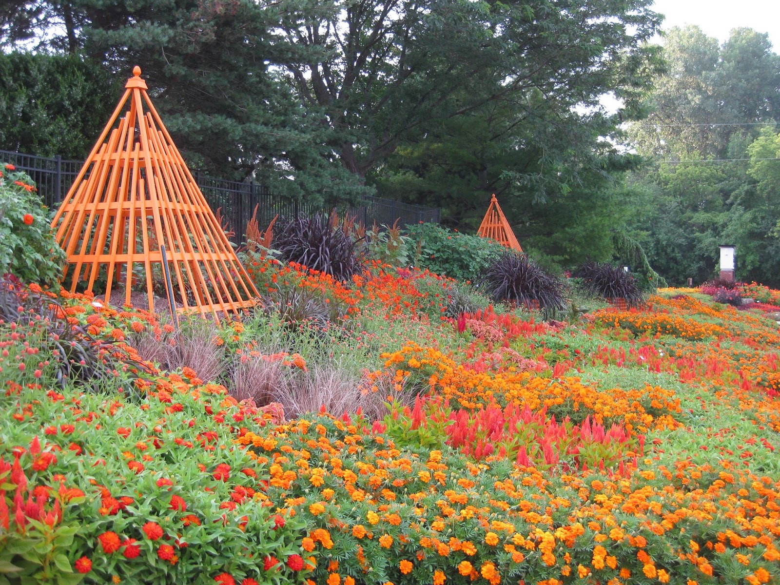 Rotary Botanical Gardens - Hort Blog: Orange Theme Succeeds