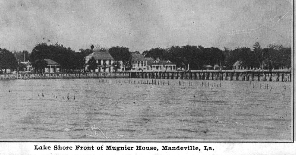 Tammany Family: Postcards Showing View of Mandeville Lakefront