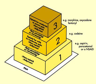 Pain free: WHO analgesic ladder - Хавдрын өвдөлтийн үнэлгээ, эмчилгээ