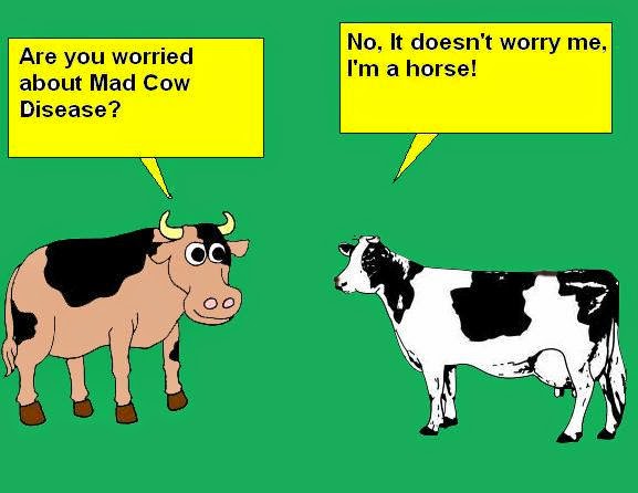 Short Jokes Are You Worried About Mad Cow Disease