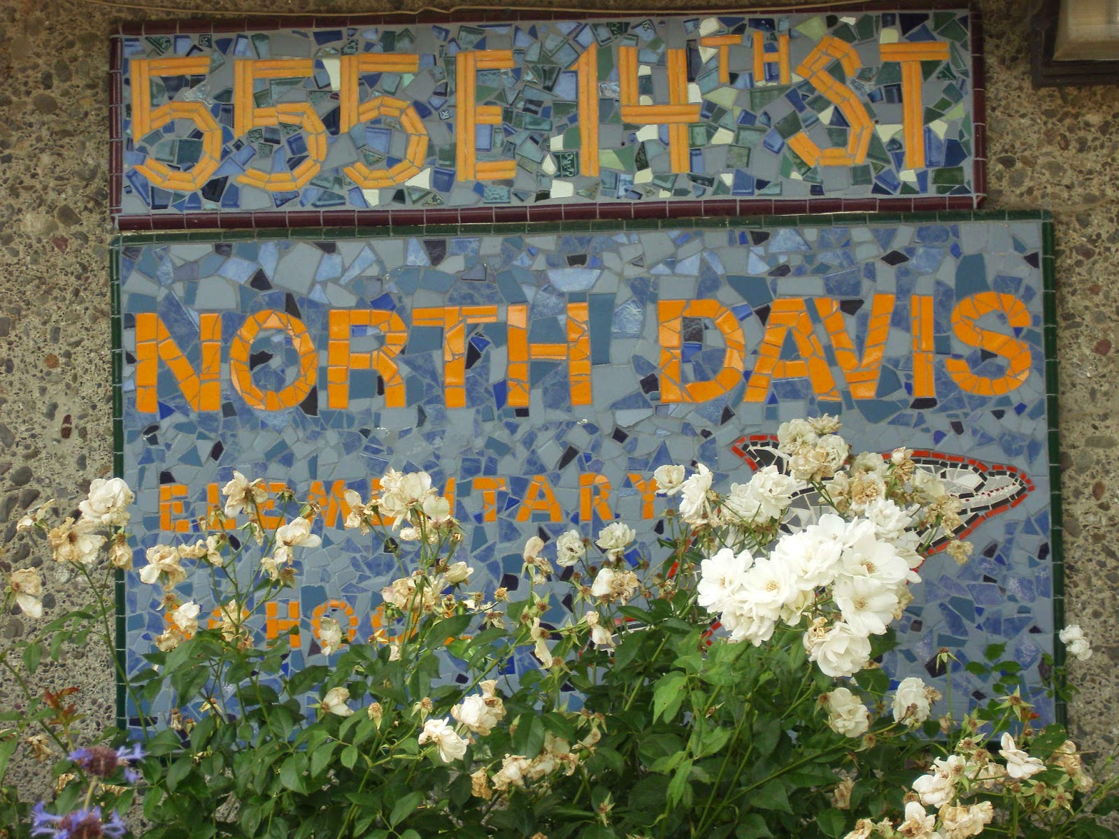 Sacramento Book Drive: Love-Talk-Read: Thanks, North Davis Elementary ...