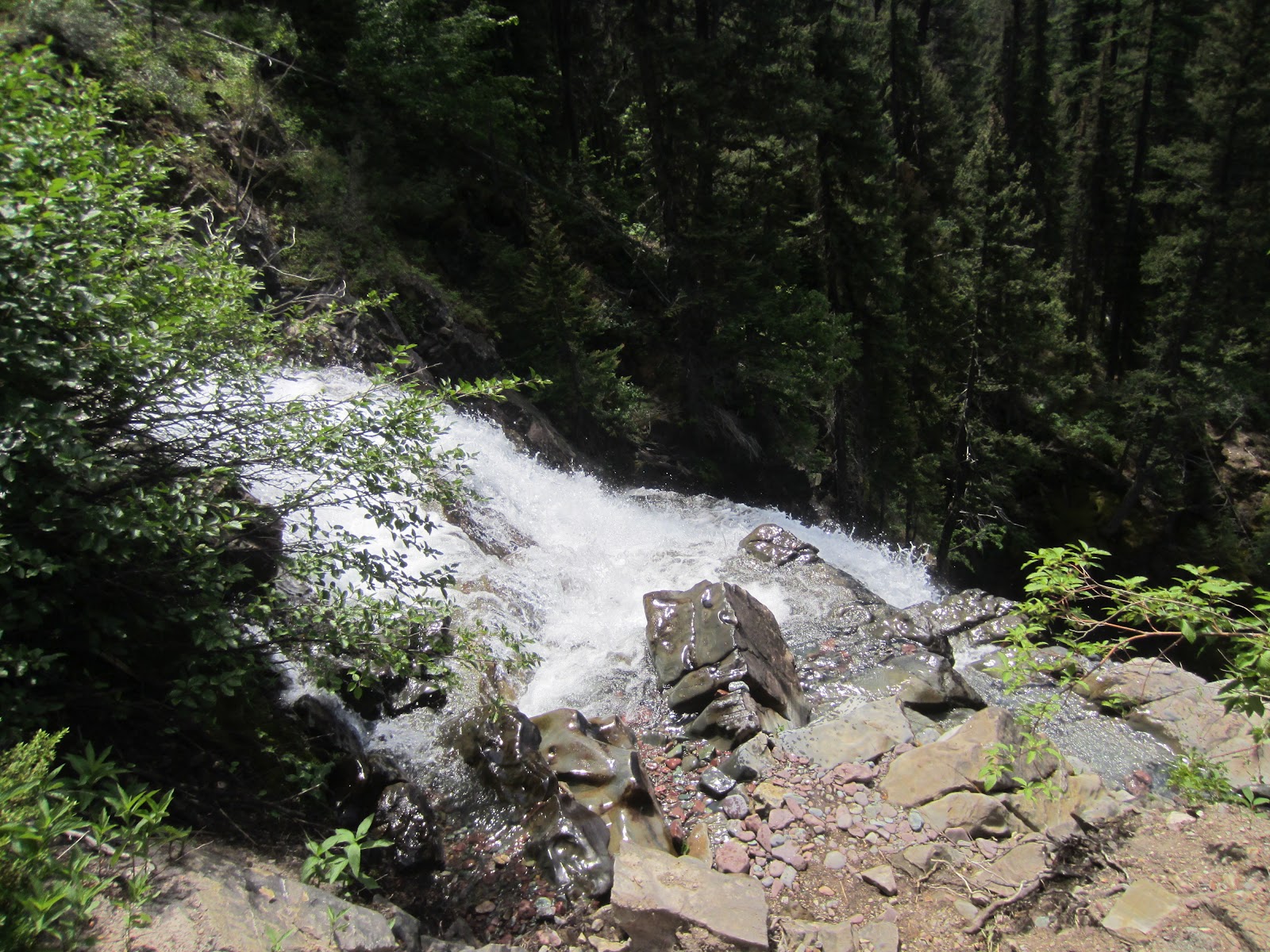 Between a Rock and a Soft Spot: Day 4, July 22: Lake Inez/Seeley Lake ...
