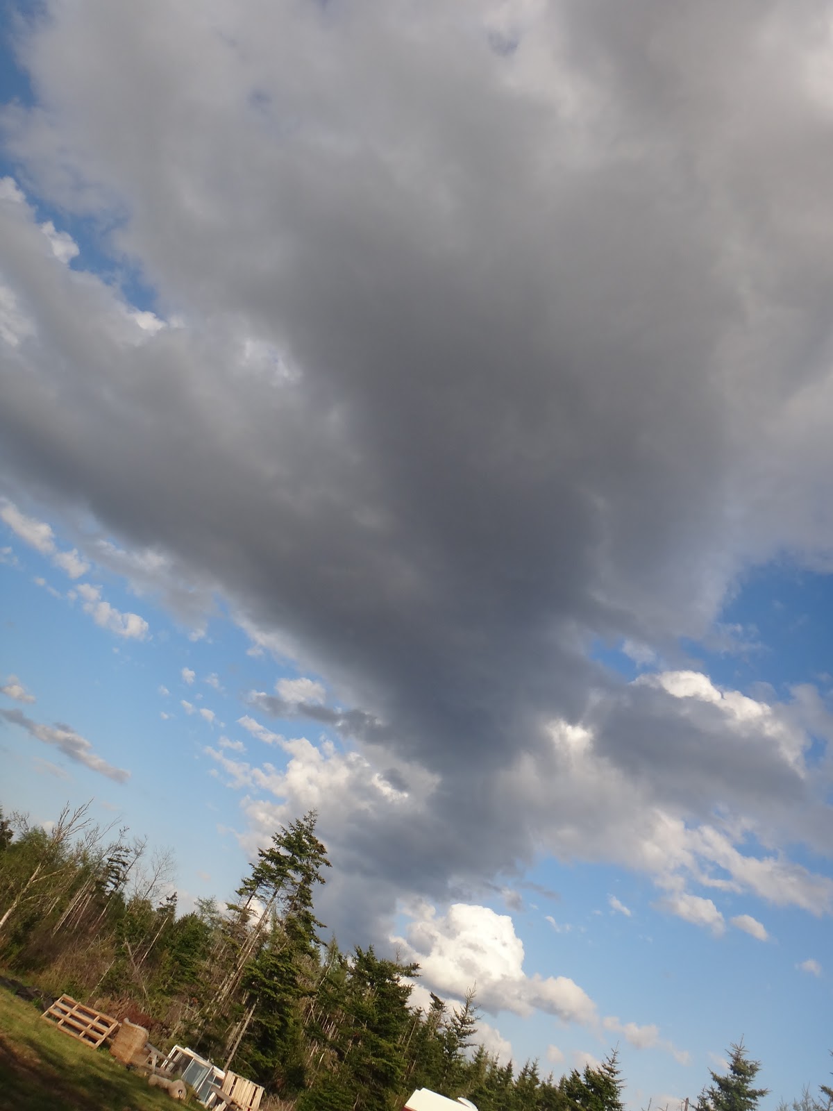 ~Framboise Manor~: june, june, junie, joon, june - jooney, juney, junie ...