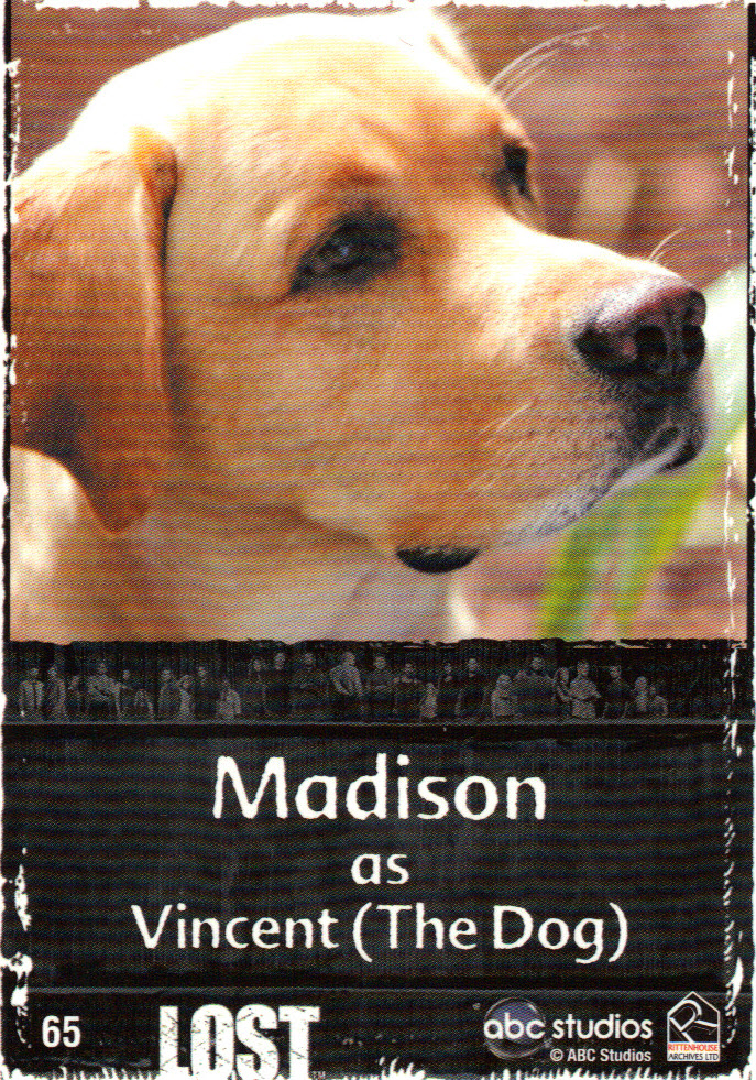 My Journey Through The LOST Encyclopedia: Vincent