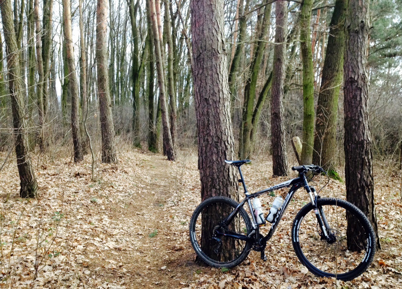 VeloDiet: WHERE TO RIDE YOUR BIKE! aka. "Why do we ride bikes on the ...