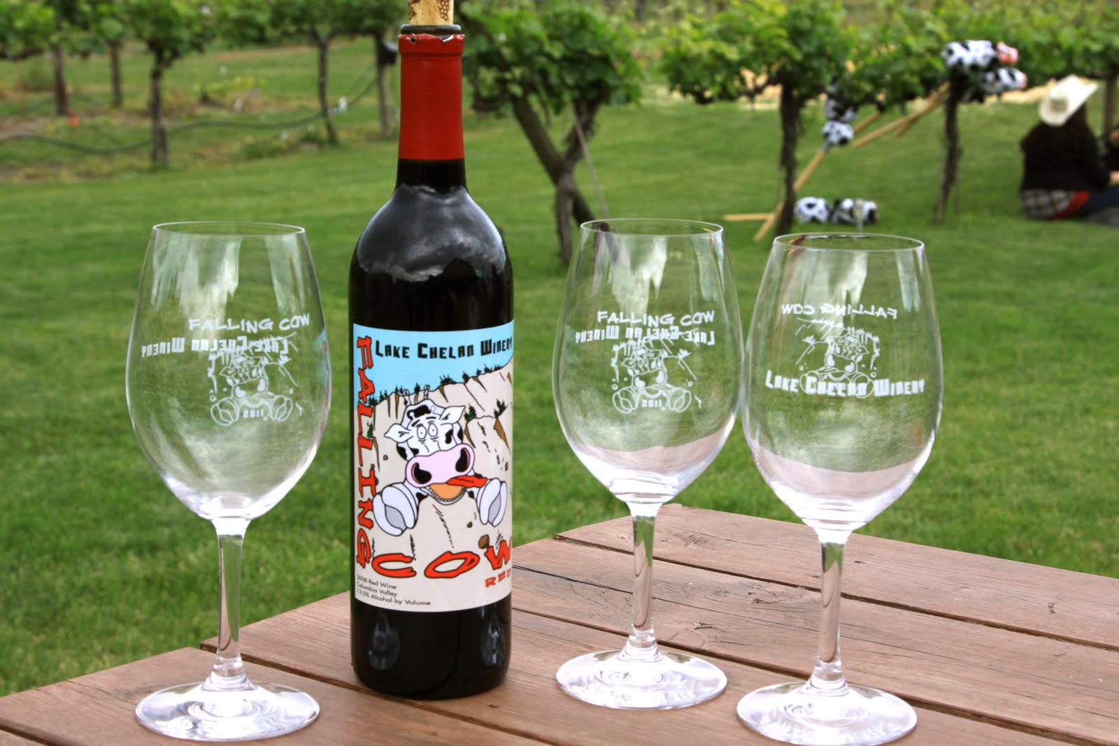 My Life is Good: Falling Cow Wine Festival