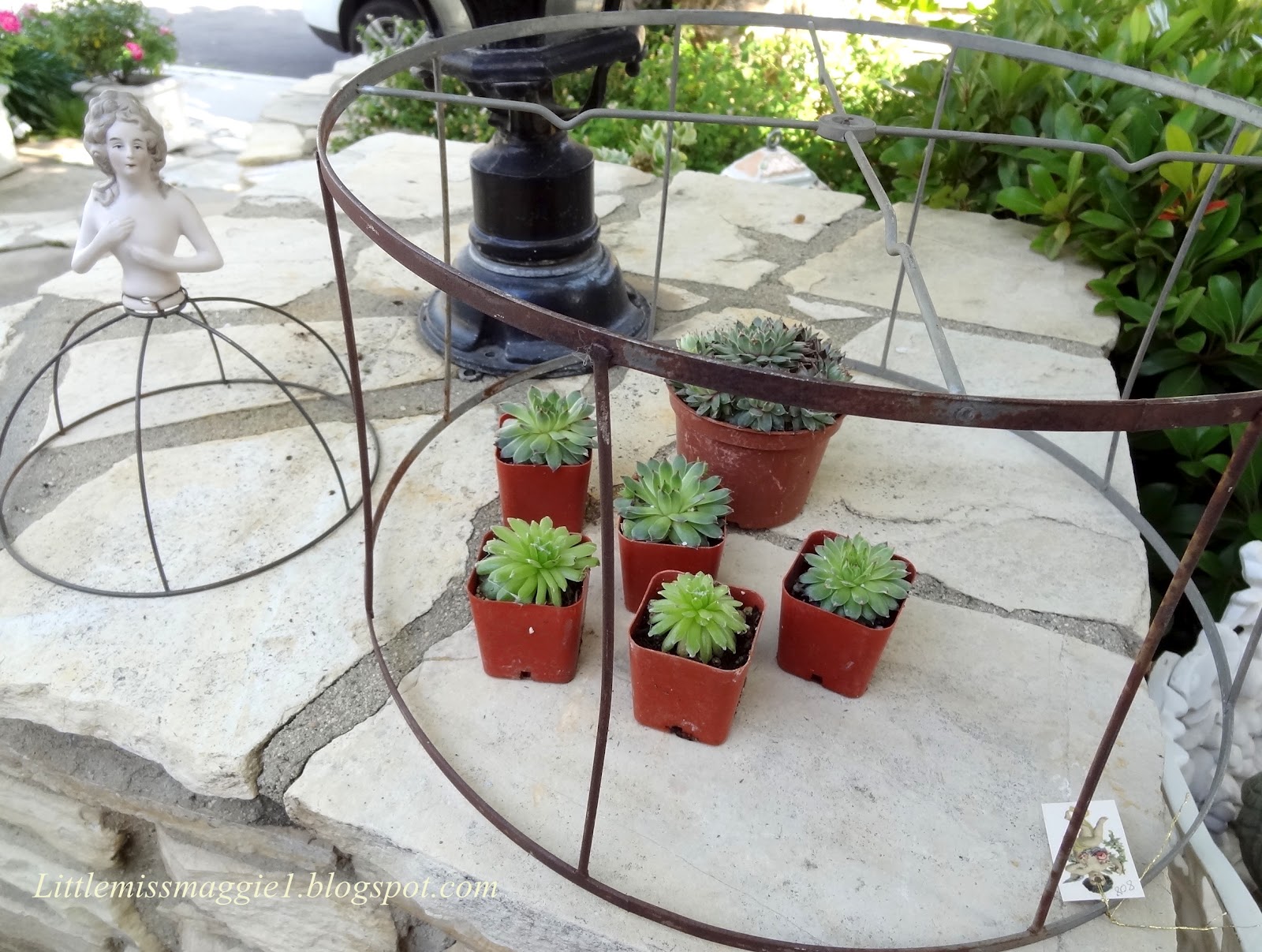 LittleMissMaggie: Wired Garden Cloche