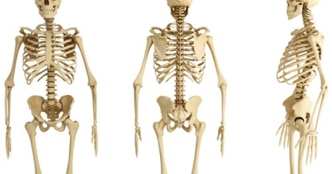 MediEstudy: bone hydrogen peroxide bleaching (osteotecnia)