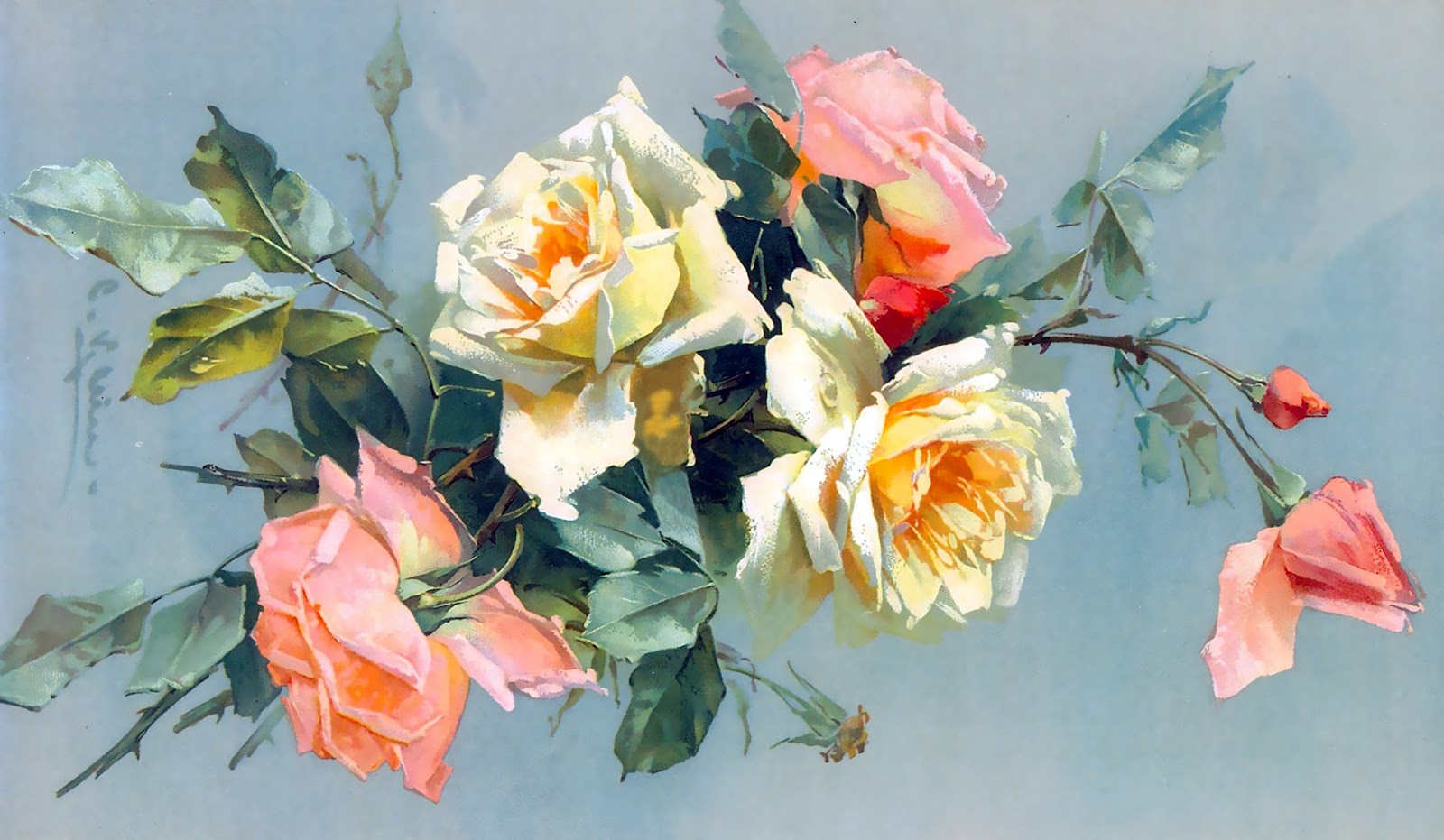 Vintage Art Roses Group Prints Postcard | Joy Design Studio