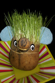 Encontramos Tu Mundo: Grass Puppets ¡¡A cortarle el pelo!!