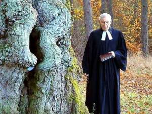 Contradicciones (Original): 2012-01-15