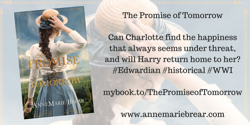 AnneMarie Brear: Reviews for The Promise of Tomorrow.