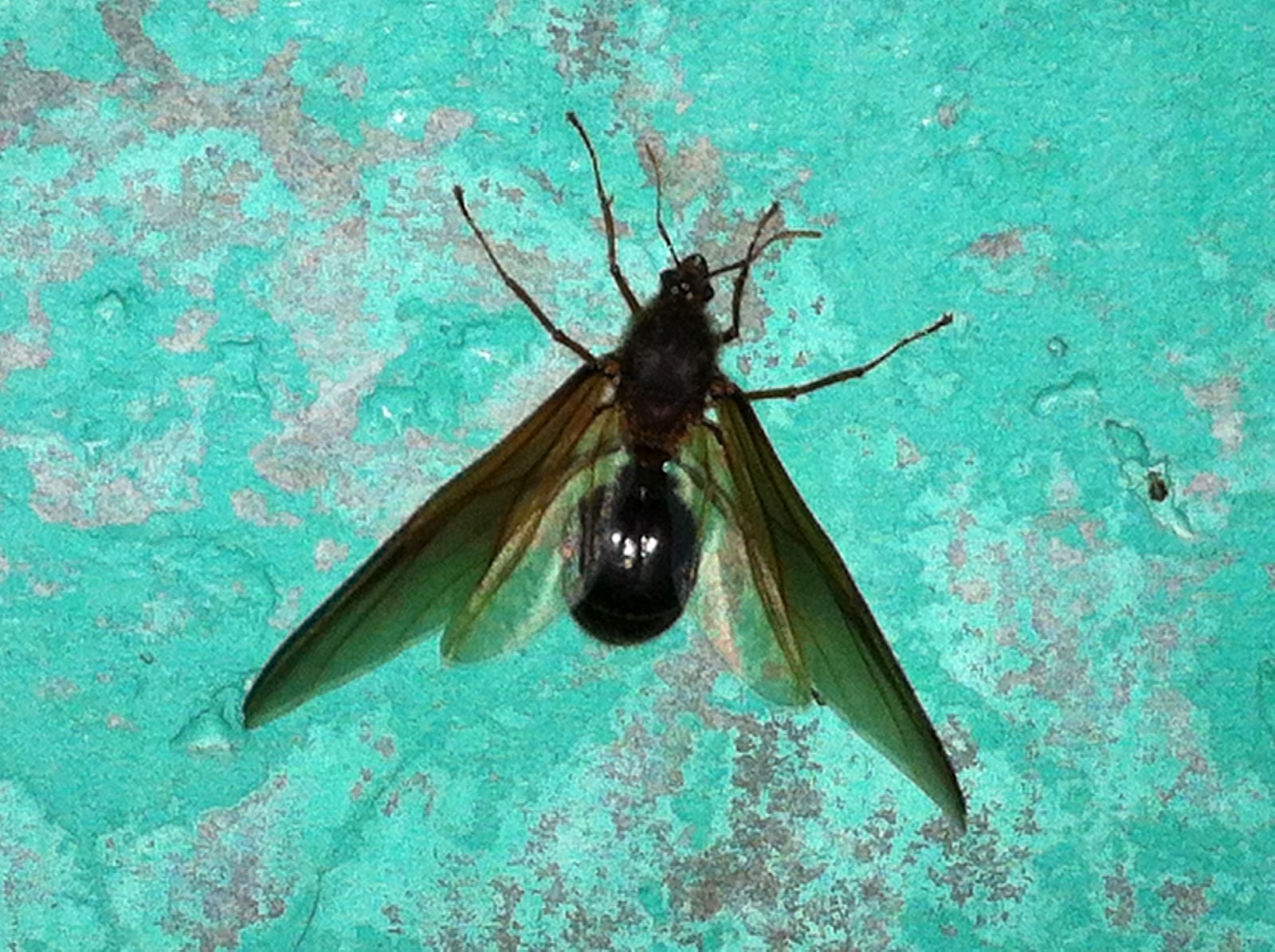 Inviting a Sense of Wonder: El Salvador: May 2012