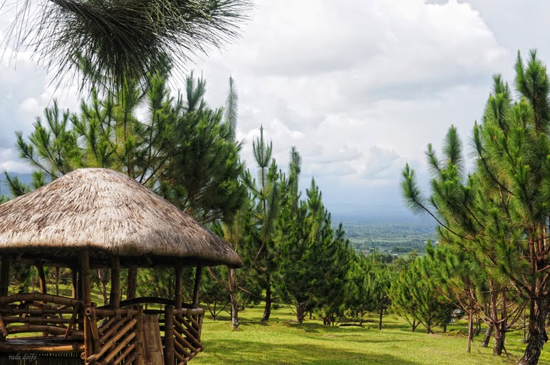 Inside the Pastor's Glory Mountain