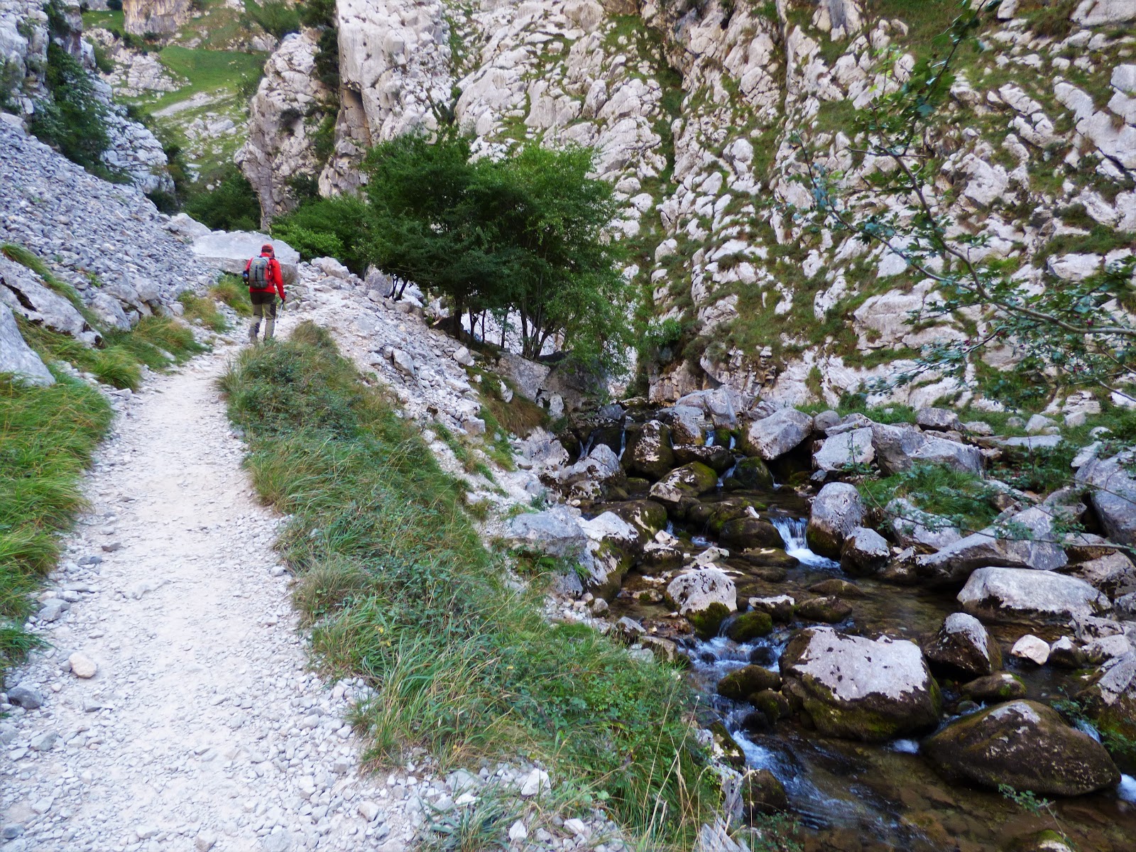 EL MOCHUELO CURIOSO: Ruta SUBIDA A BULNES - PICOS DE EUROPA.