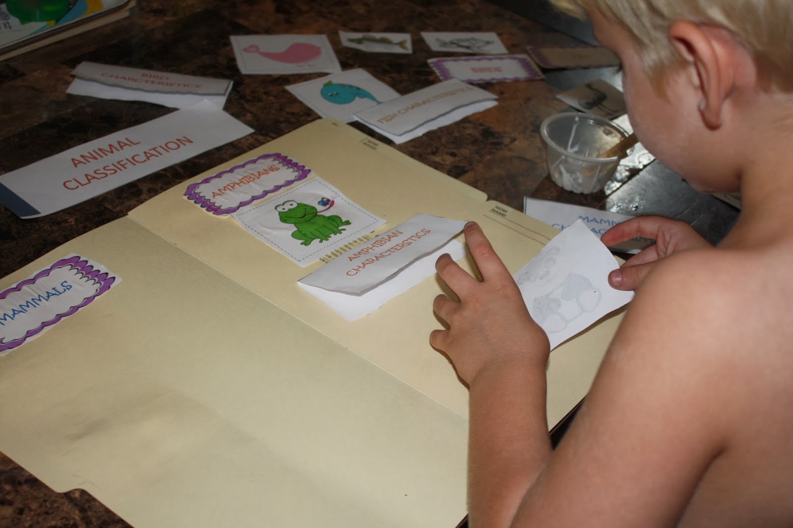 Annie's Adventures In Homeschooling!: Animal Classification/Notebooking ...