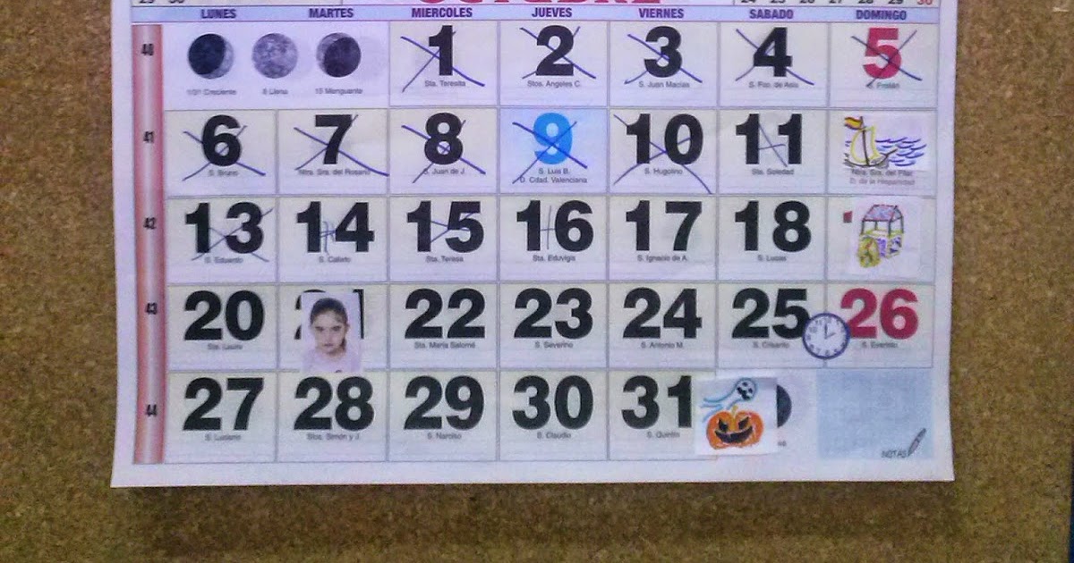 La Clase del Profe Pablo: aventuras y aprendizaje: ¿QUÉ ES UN AÑO?