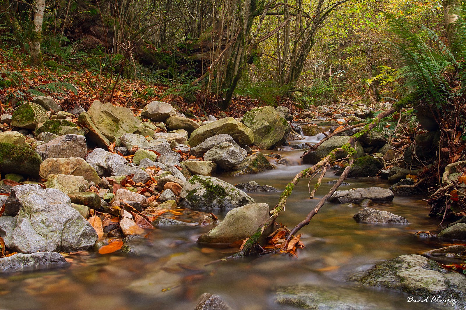 Naturaleza Cantábrica: Ríos de otoño