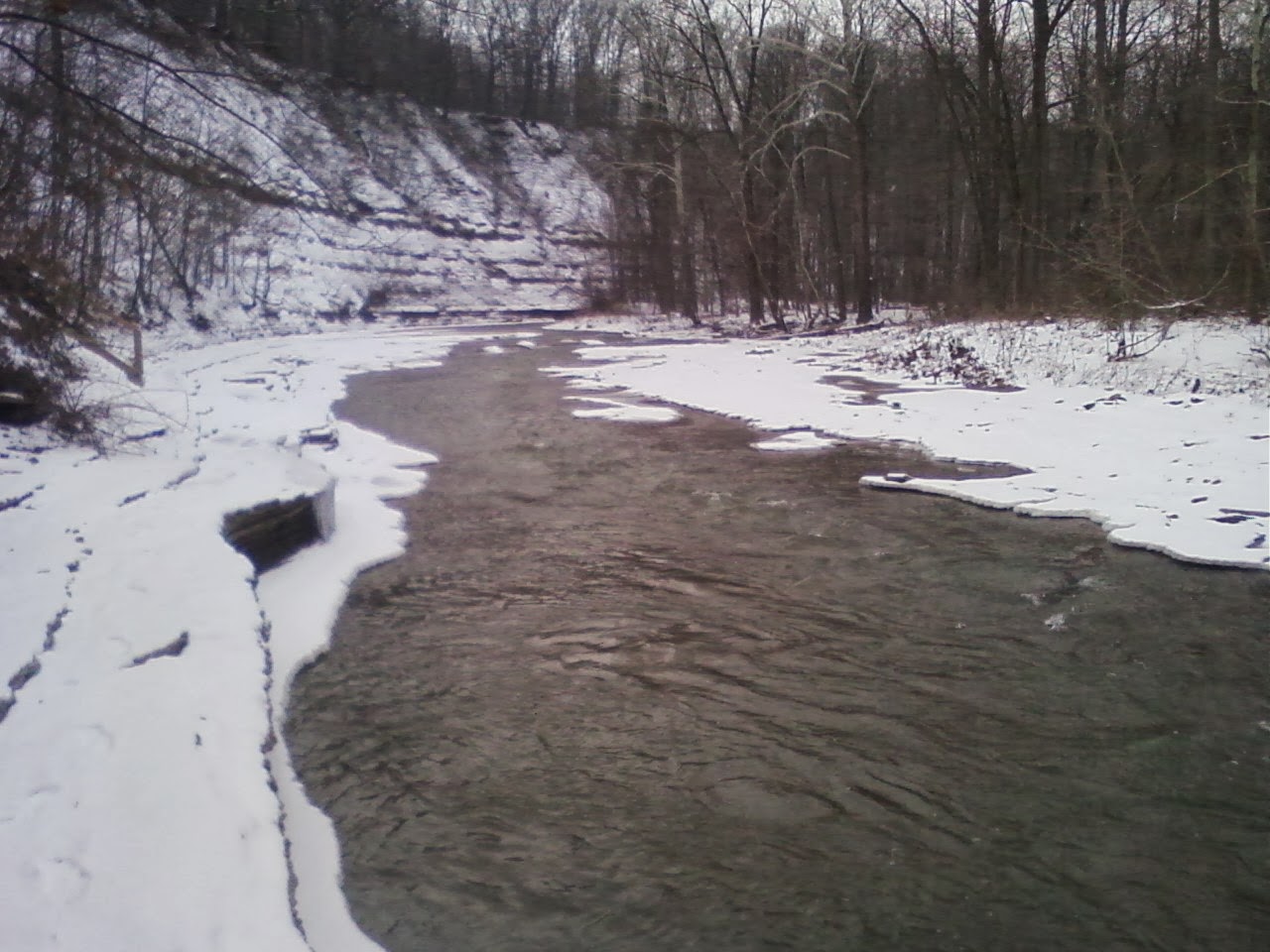 Lake Metroparks Fishing Report: Try the Chagrin River this weekend