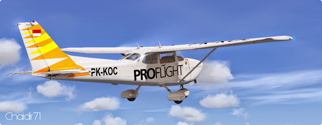 FSX Textures ~ WING 71