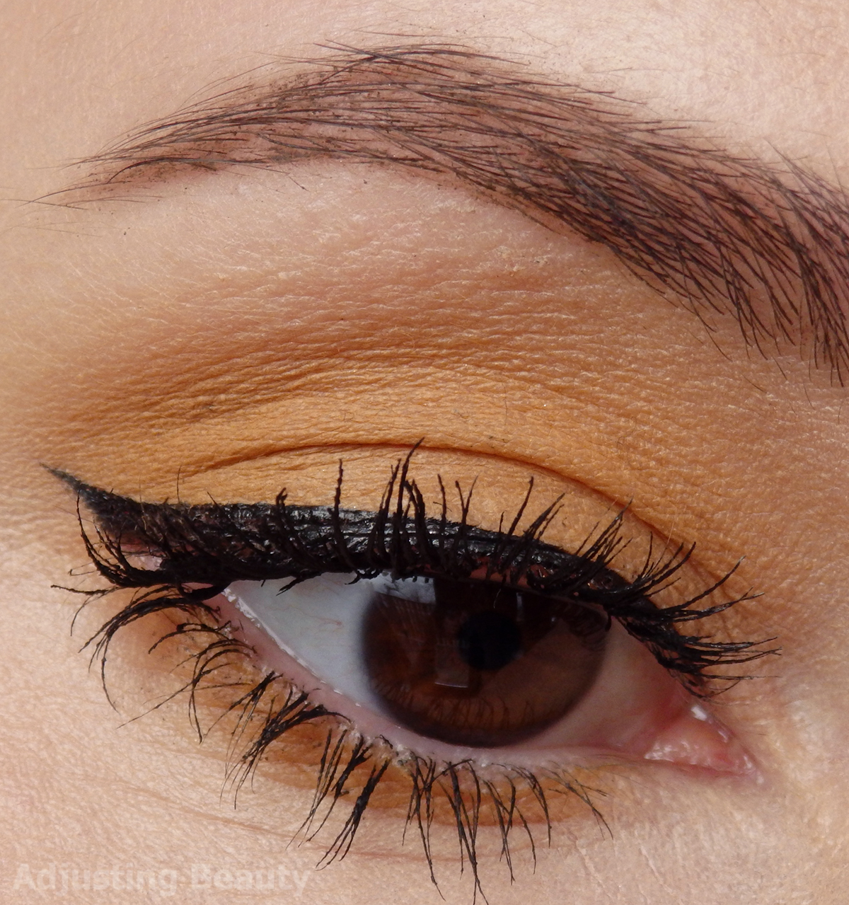 Review: Colourpop Pressed Powder Shadow - Hear Me Out, Wake Up Call ...