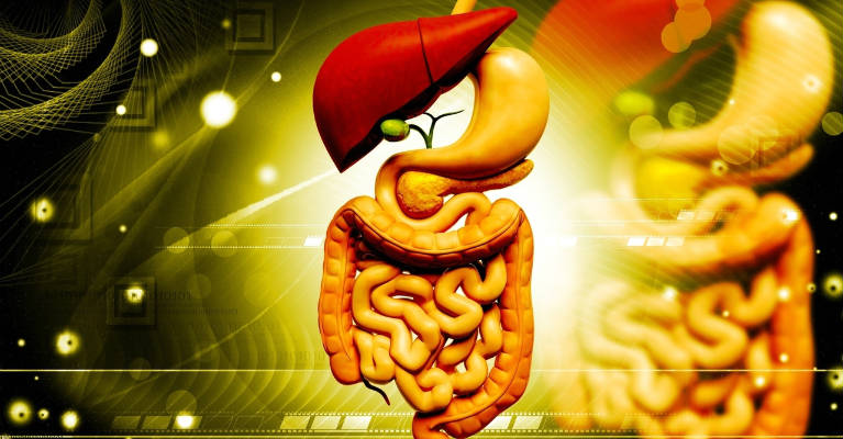 Kebanyakan Orang Tidak Tahu Tentang Cara Merawat Hati Agar Tetap Sehat ...