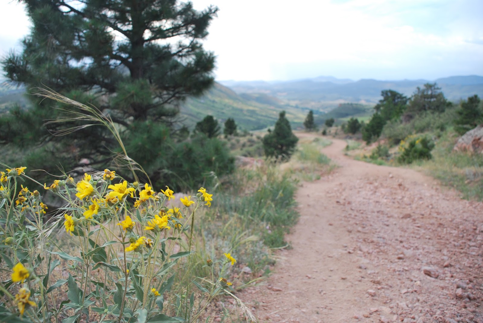 A Furled Brow: July 2013