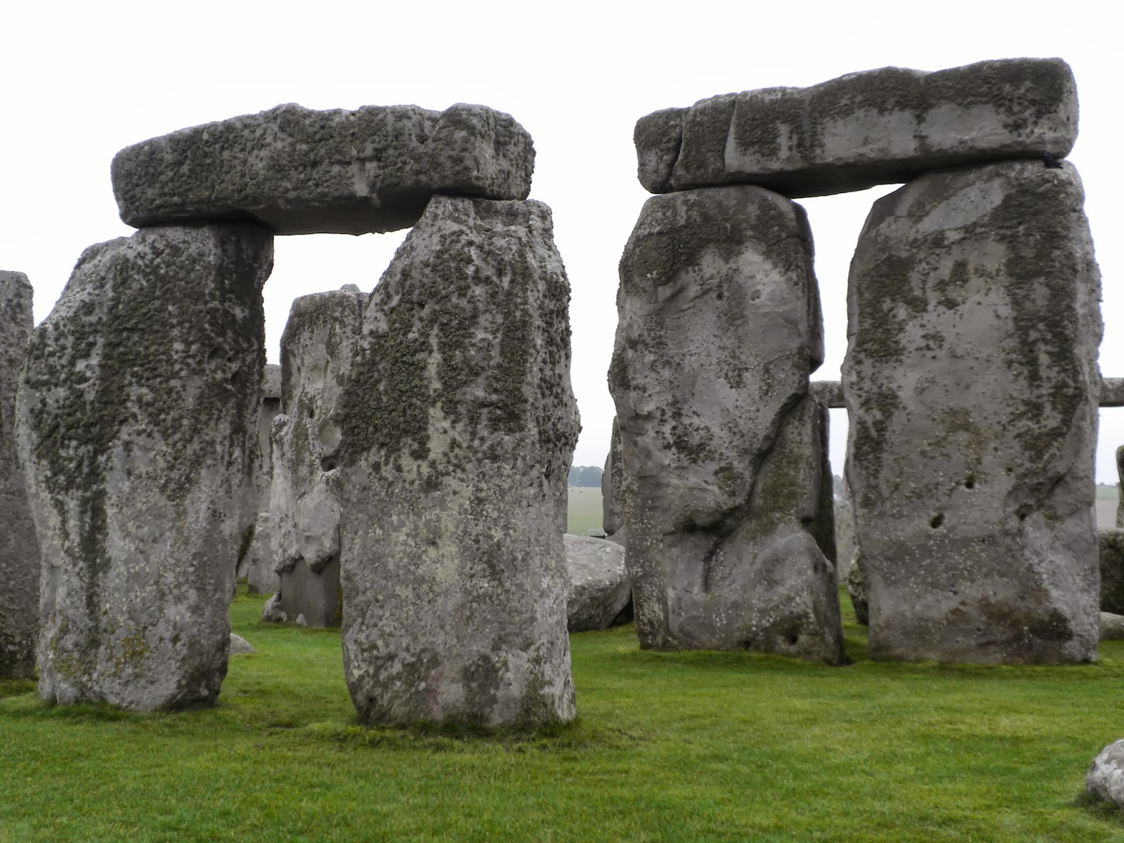 Catching the Trade Winds: The Best of Britain