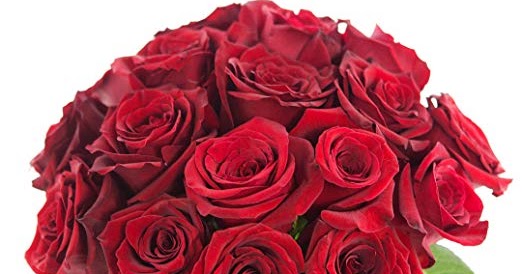 The Romantic Classic Bouquet of 18 Fresh Red Roses (Farm-Fresh, Long ...