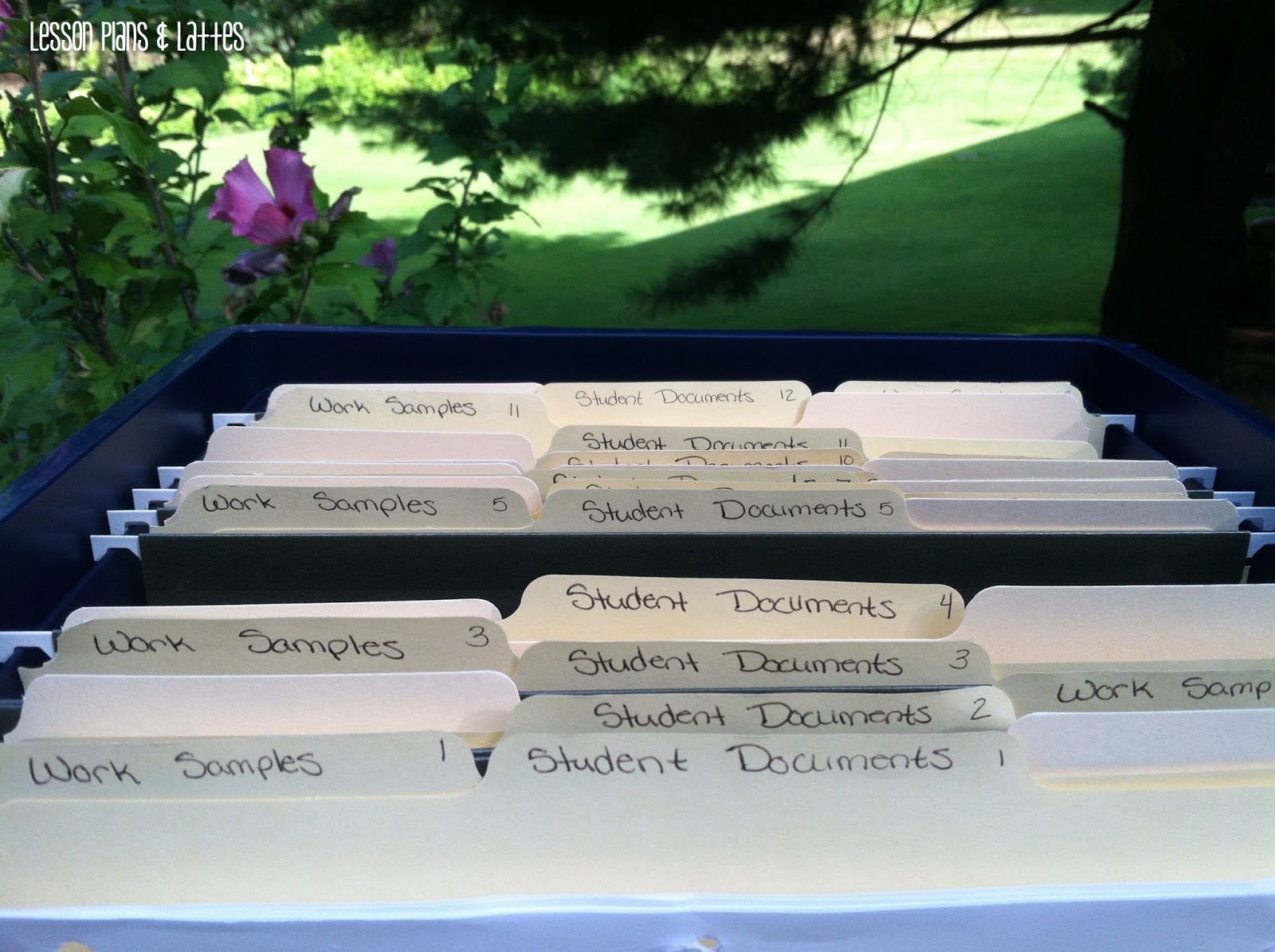 Organizing Student Files | Lesson Plans & Lattes