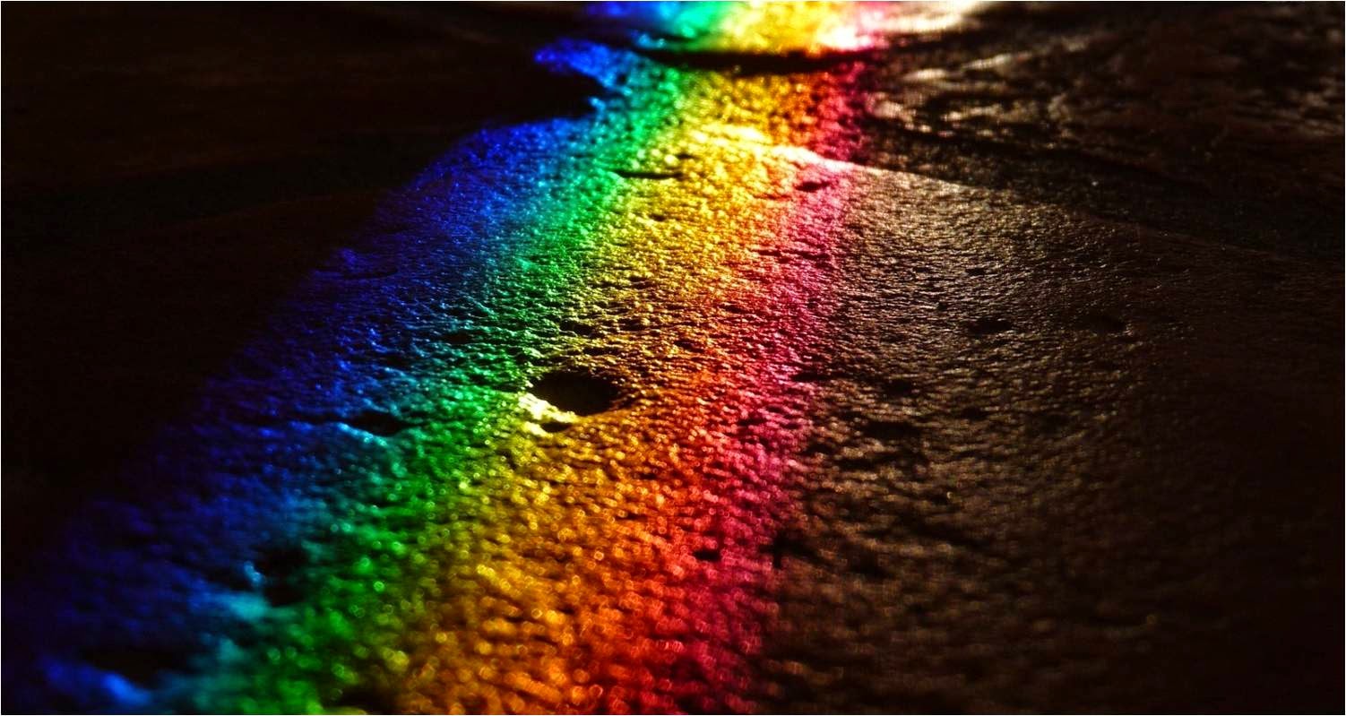 collins design®: .. photo of ray colors